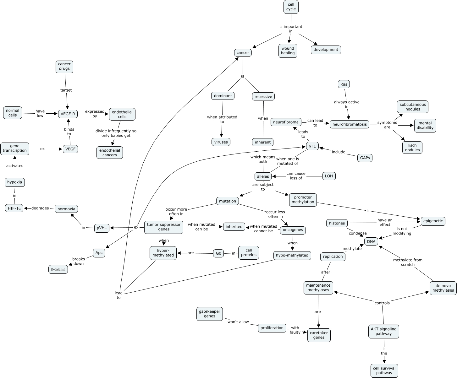 Chapter 7 Discussion